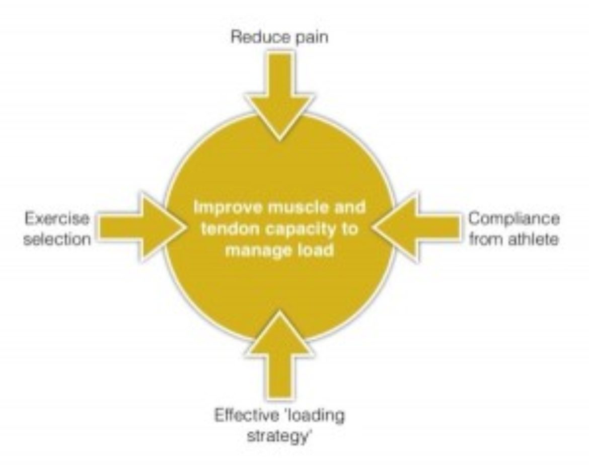 Why Pain ? Tendons can be so painful and slow to get better – abstracts ...